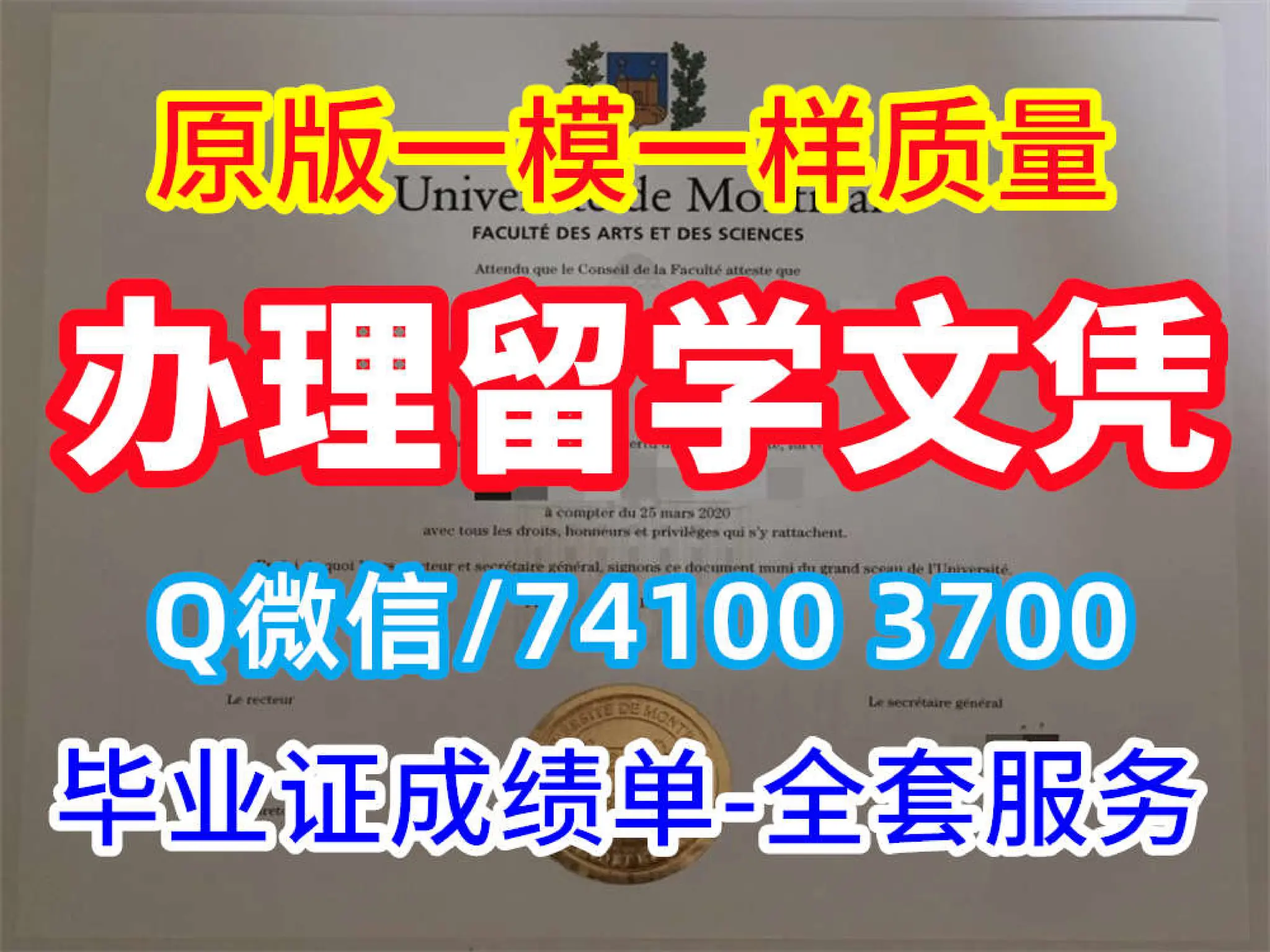 UoN Transcript | PDF