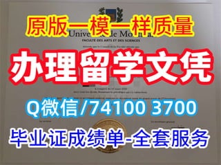 UoN Transcript | PDF