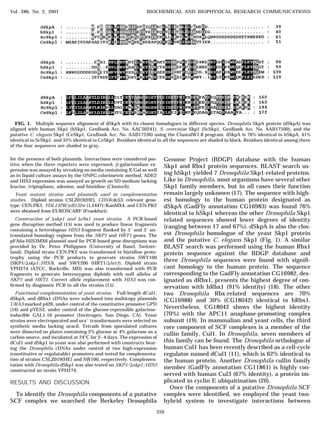 Bocca et al BBRC | PDF