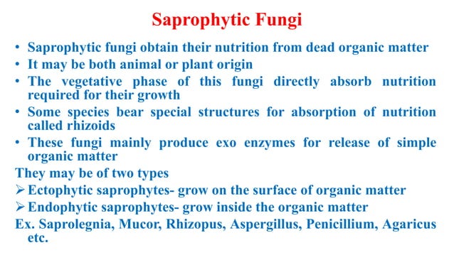 Nutrition in Fungi_for Microbiology and Mycology | PDF | Biological ...