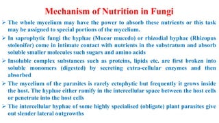 Nutrition in Fungi_for Microbiology and Mycology | PDF