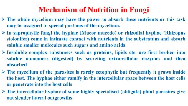 Nutrition in Fungi_for Microbiology and Mycology | PDF | Biological ...