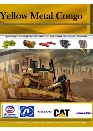 yellow profile congo (1) | PDF