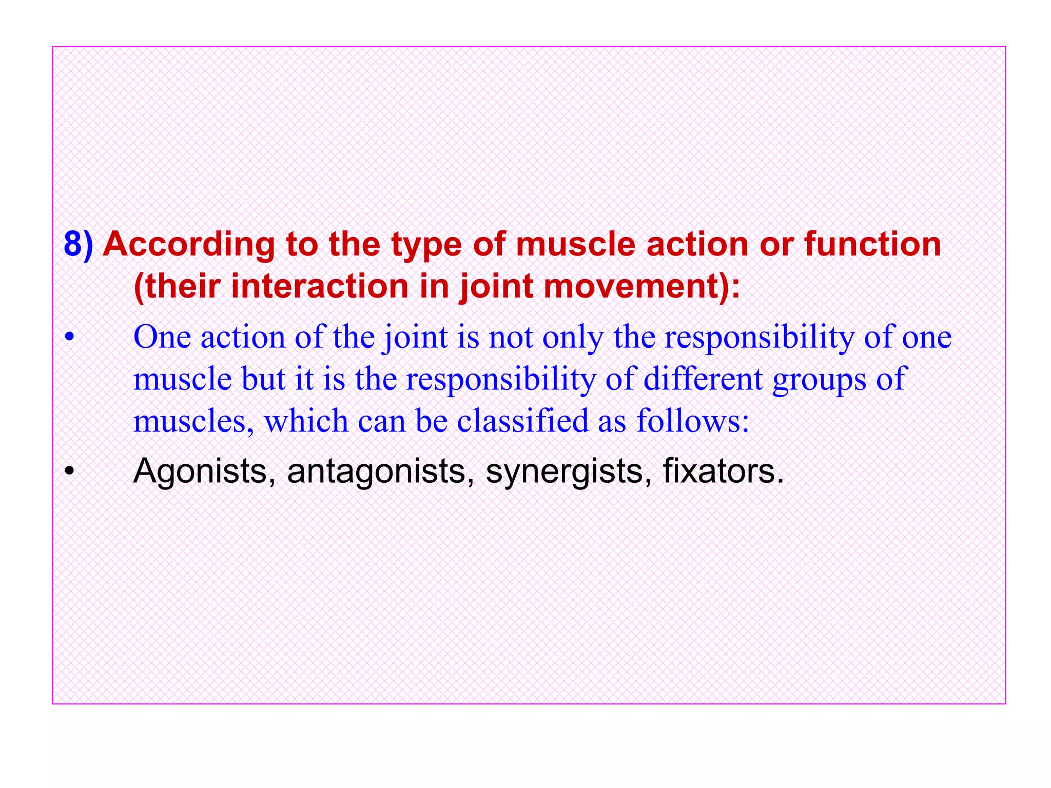 86960_MUSCLE.PPT