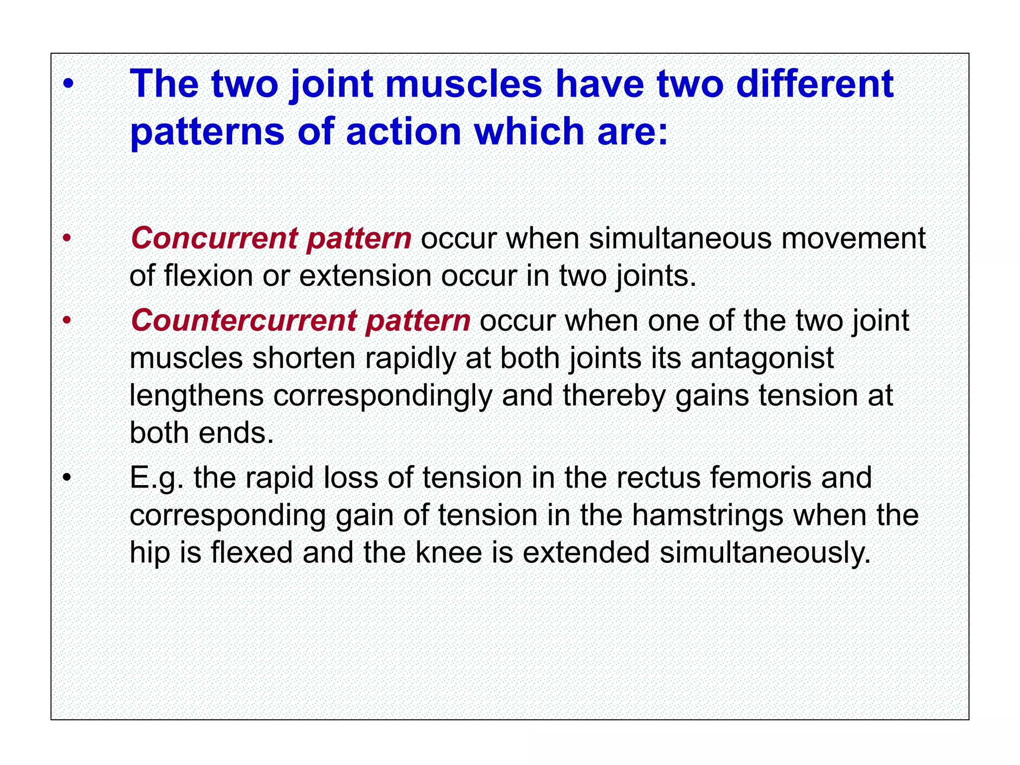 86960_MUSCLE.PPT