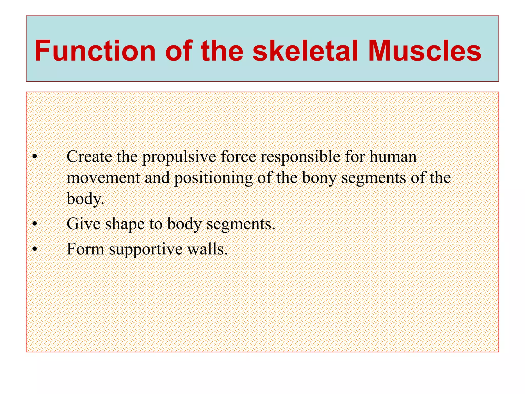 86960_MUSCLE.PPT