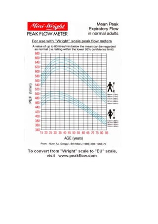 869 peak expiratory flow rate measurements final (2) | DOC