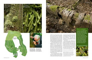 FRANCIS ROSE RESERVE | PDF