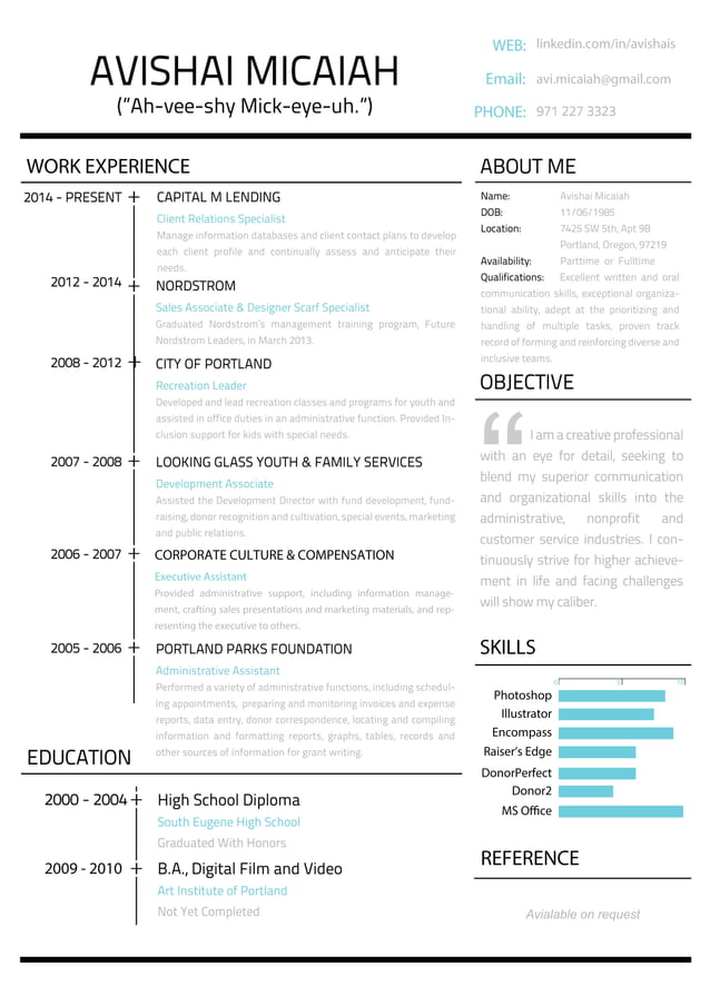 Avishai Resume 2015 | PDF