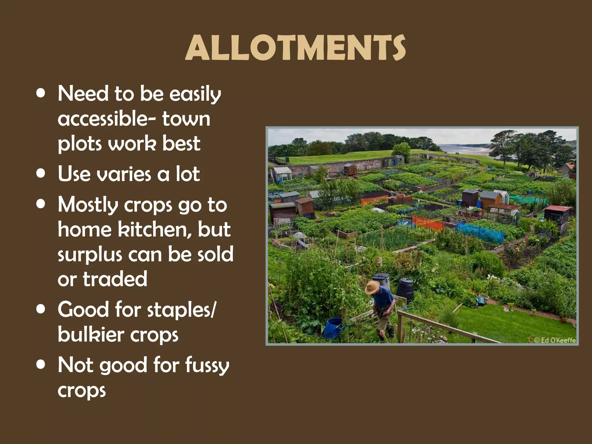 SUSTAINABLE FOOD SYSTEMS | PPT