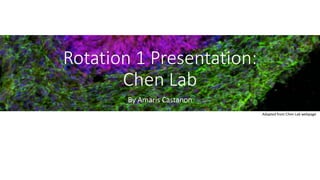 ChenLab_Rotation_Presentation | PPTX