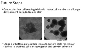 ChenLab_Rotation_Presentation | PPTX