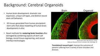 ChenLab_Rotation_Presentation | PPTX