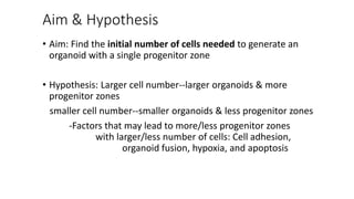 ChenLab_Rotation_Presentation | PPTX