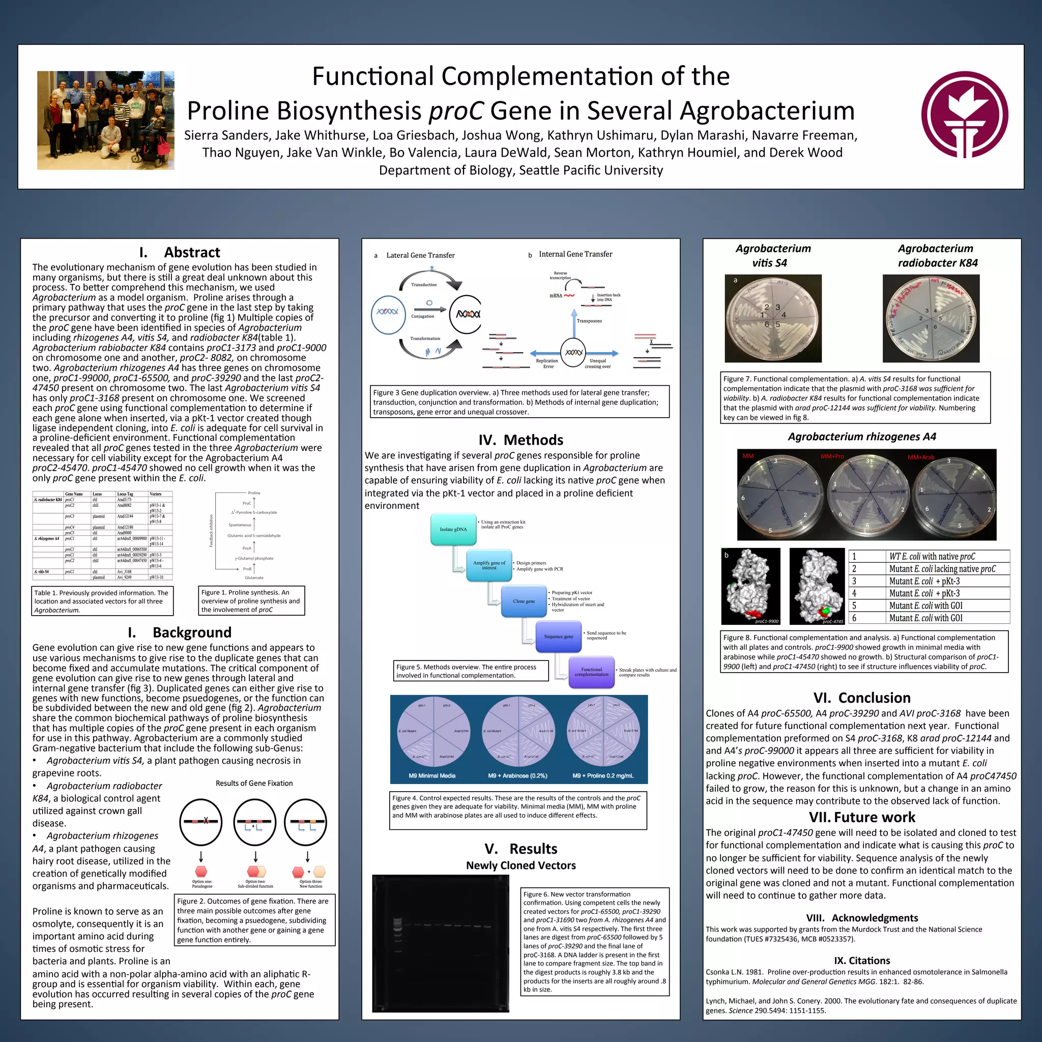 Erickson Presentation | PDF