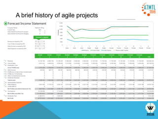 Agile Reporting for PM Brain | PPTX