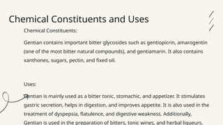 87. Gentian and Artemisia crude durgs.pptx