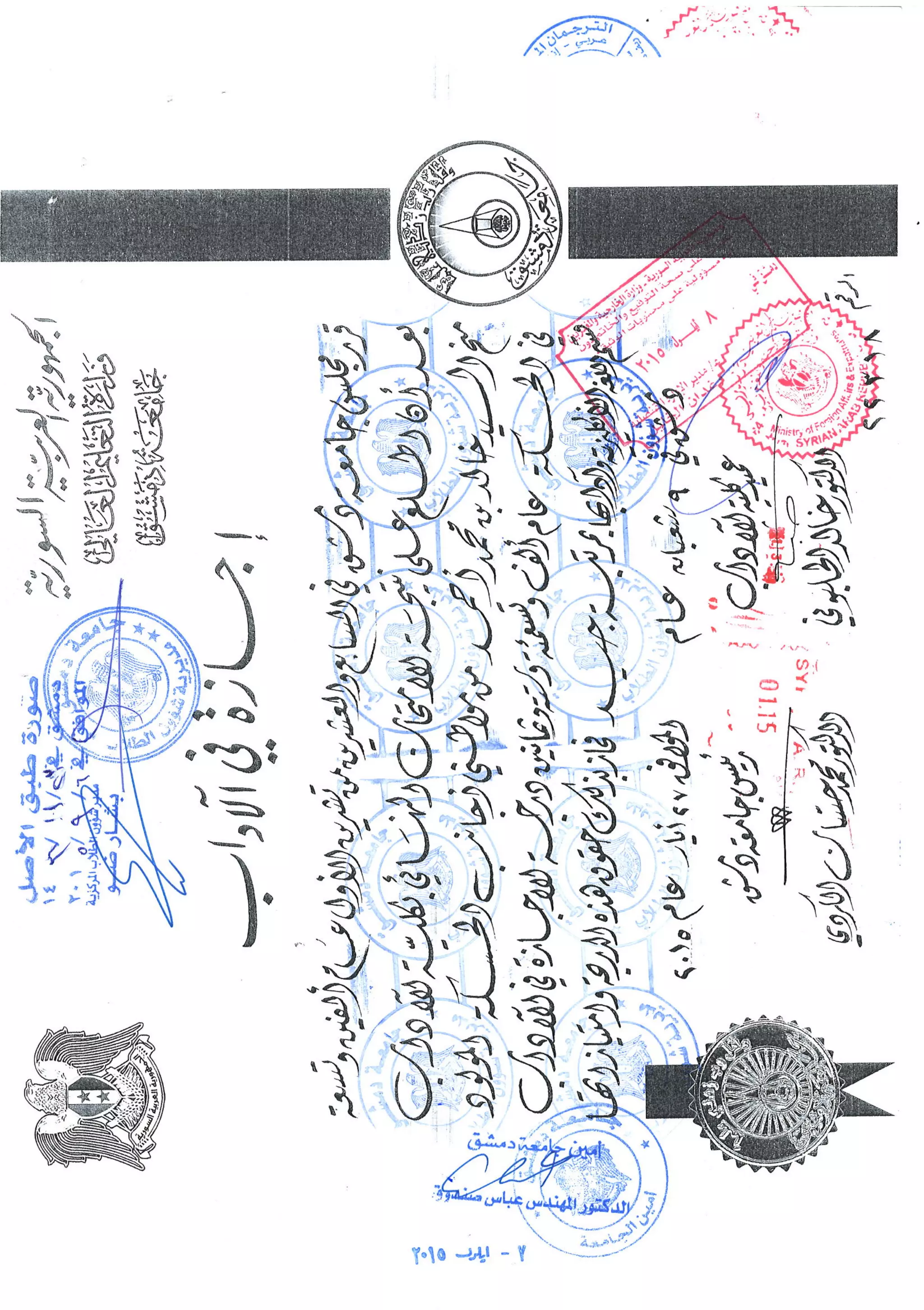 Diploma Translated | PDF