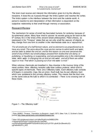 EPQ Final (Olfaction Dissertation) | DOCX