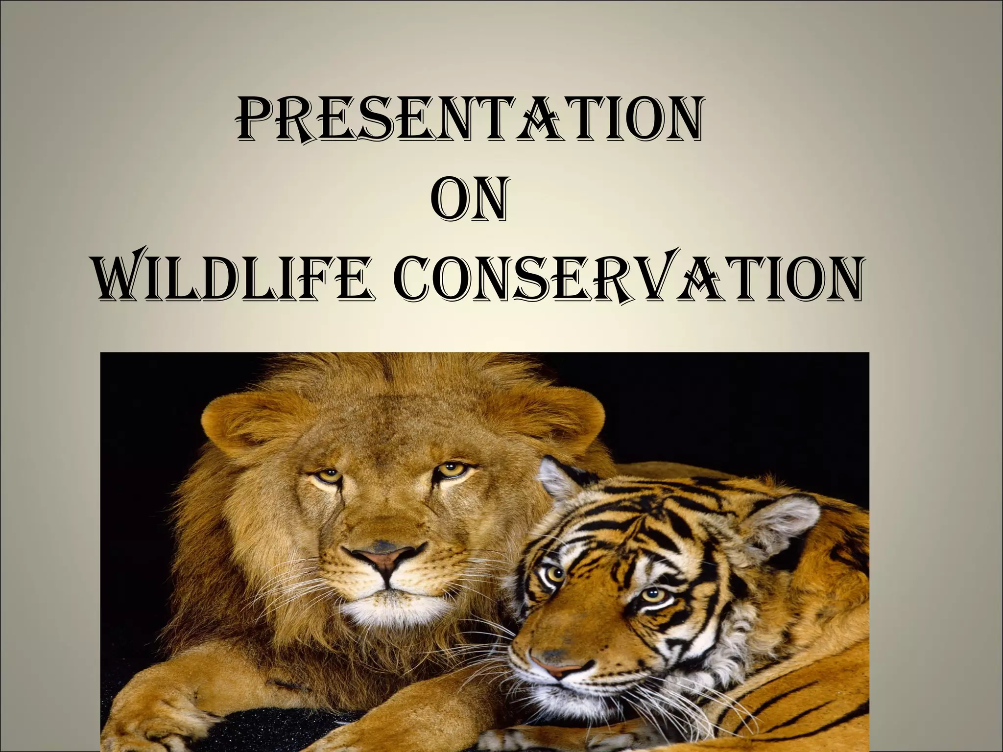 wildlife conservation | PPT