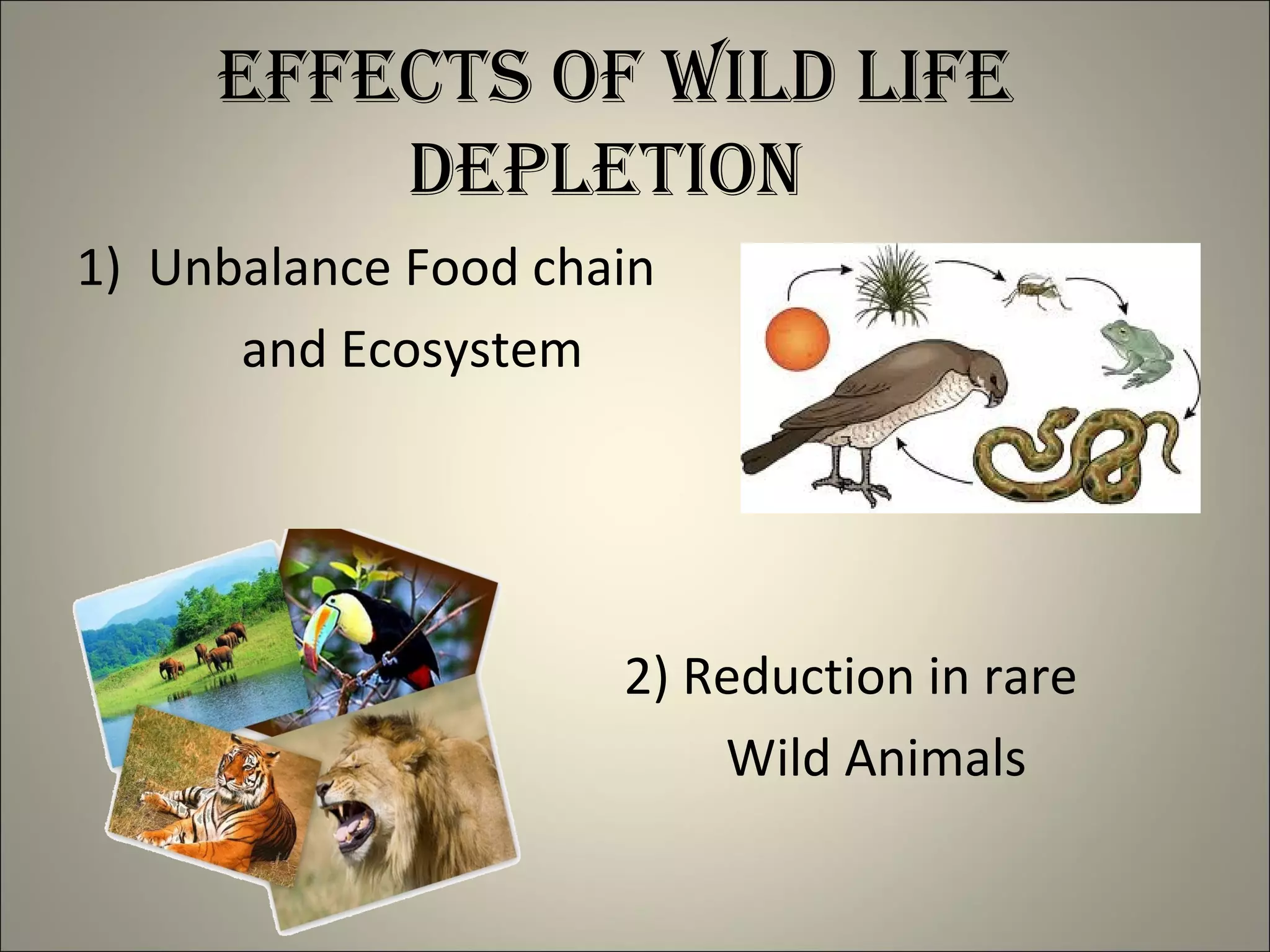 wildlife conservation | PPT