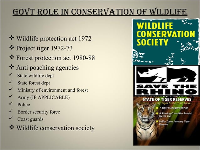 wildlife conservation | PPT | Environment | Science
