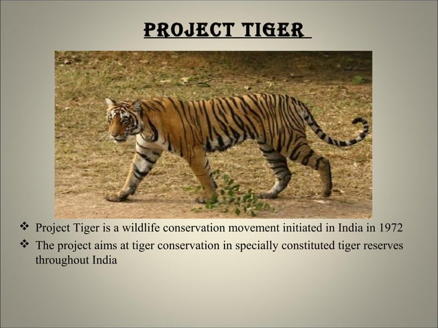 wildlife conservation | PPT | Environment | Science