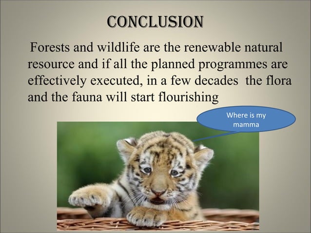 wildlife conservation | PPT | Environment | Science