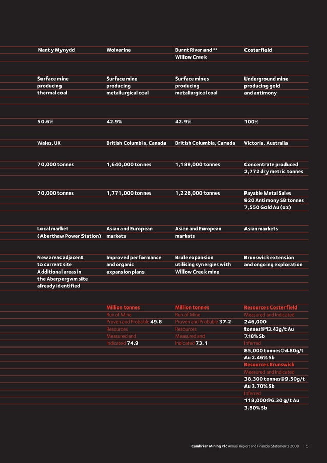Cambrian_Mining-AR2008 | PDF | Commodities | Economy