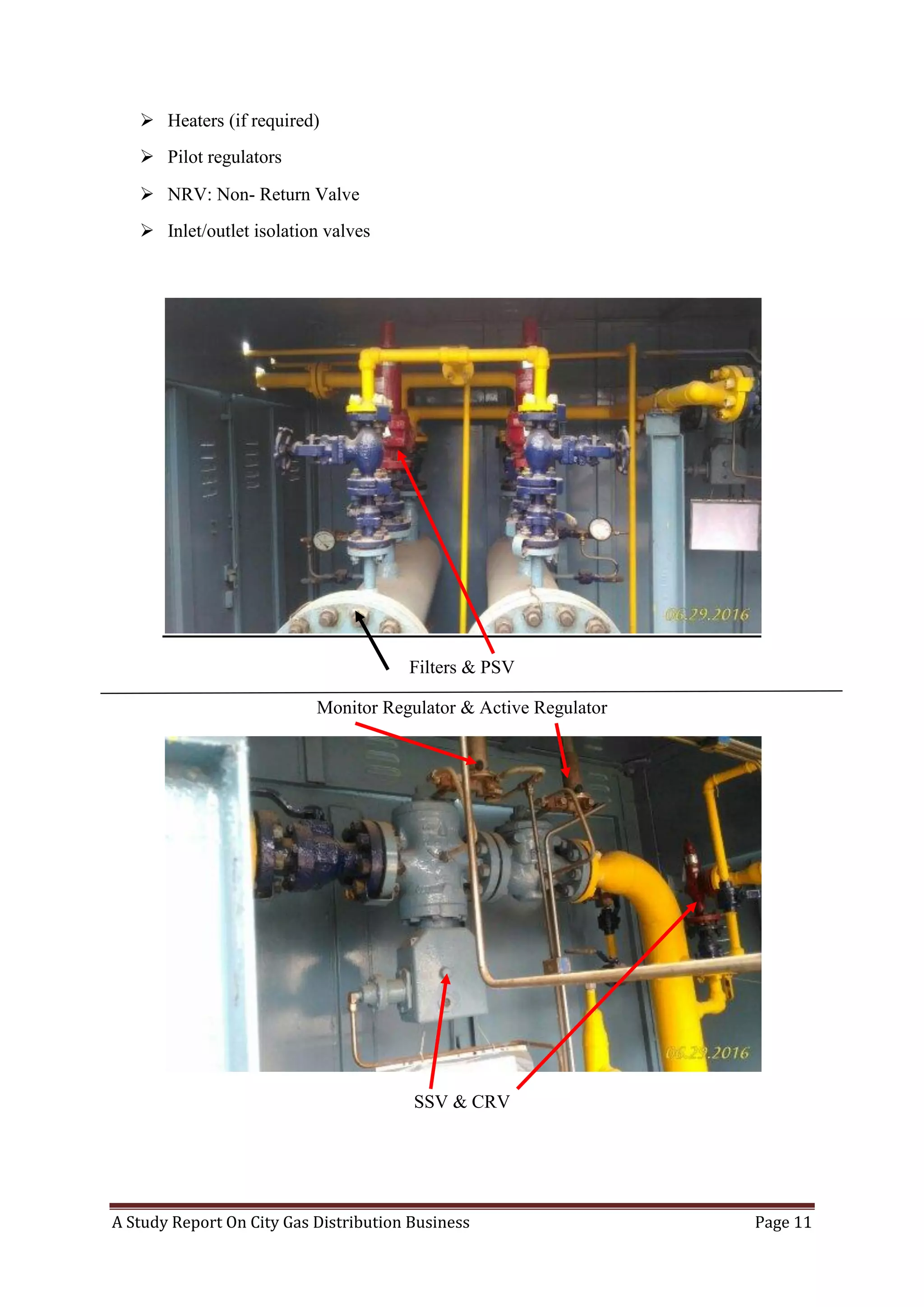 Final Report-City Gas Distribution (CGD) _Daxit Akbari | PDF