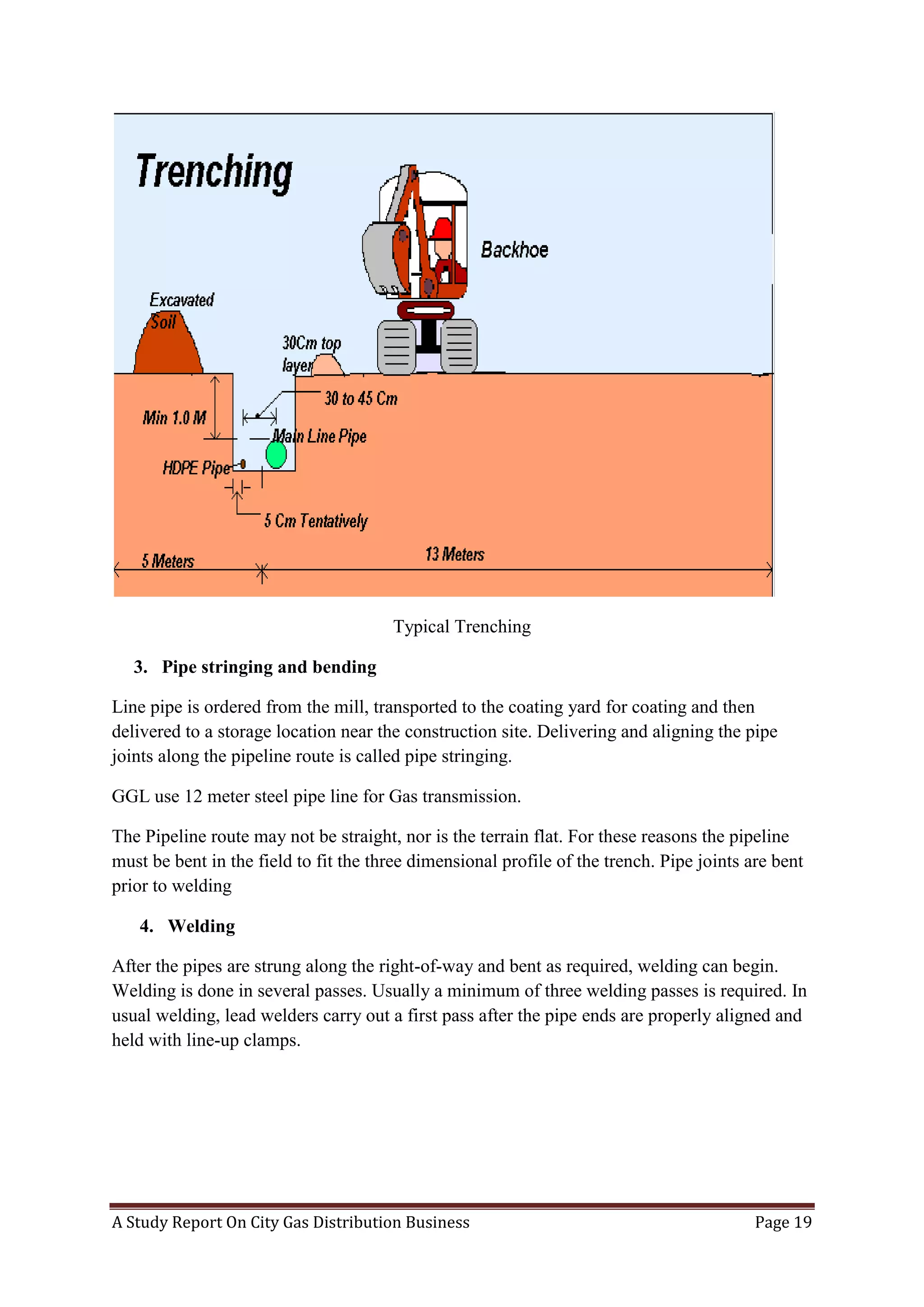 Final Report-City Gas Distribution (CGD) _Daxit Akbari | PDF