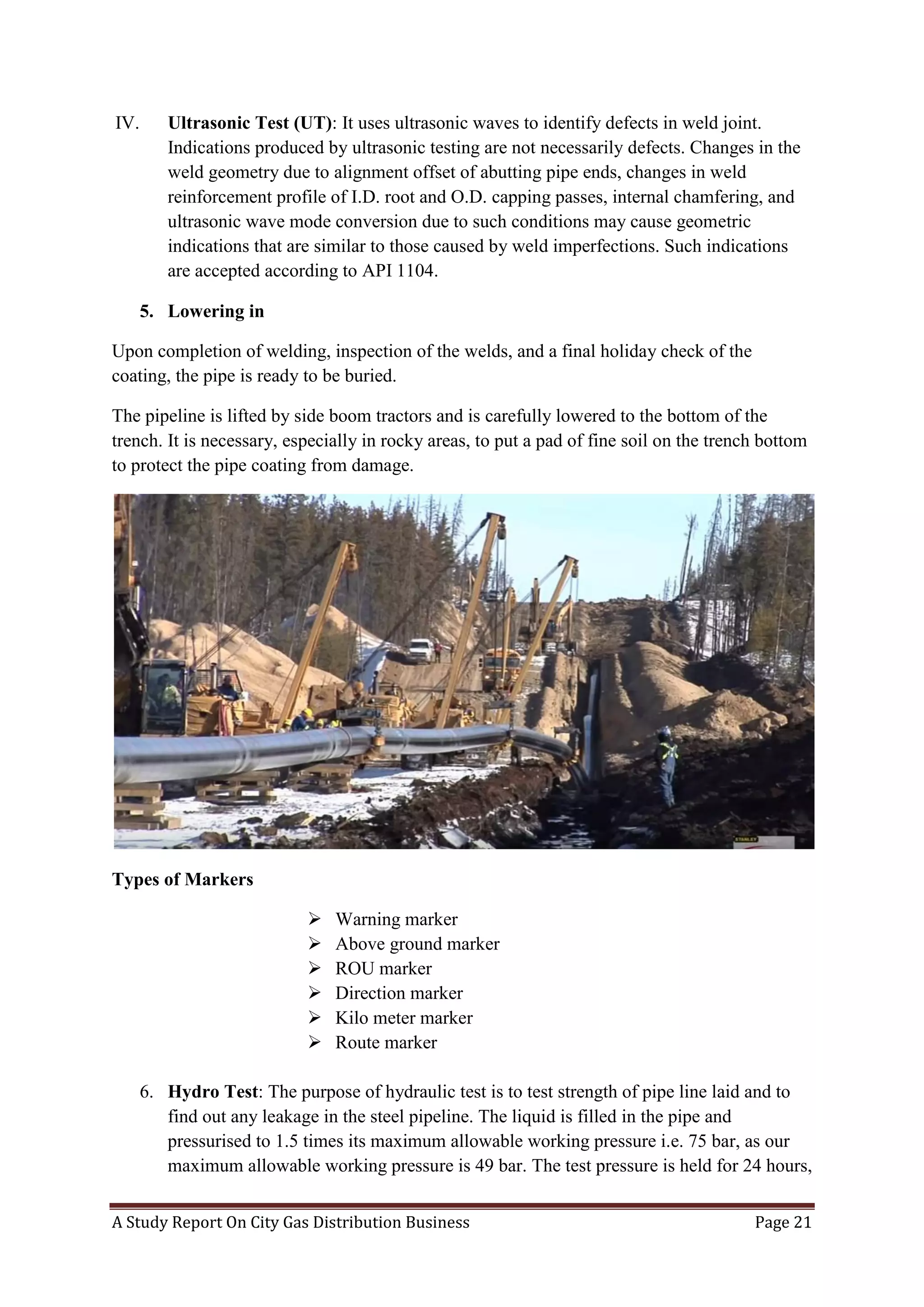 Final Report-City Gas Distribution (CGD) _Daxit Akbari | PDF