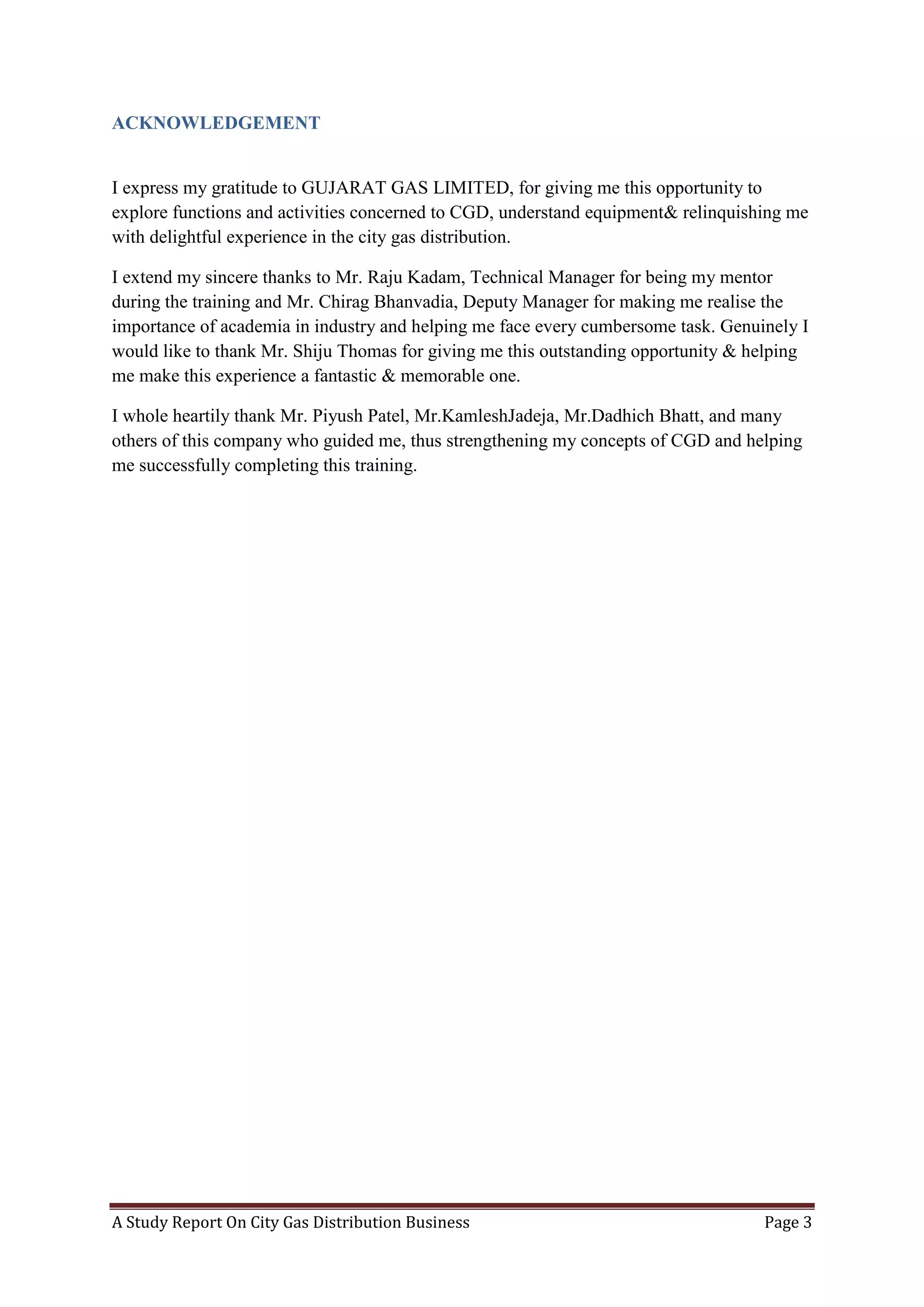 Final Report-City Gas Distribution (CGD) _Daxit Akbari | PDF