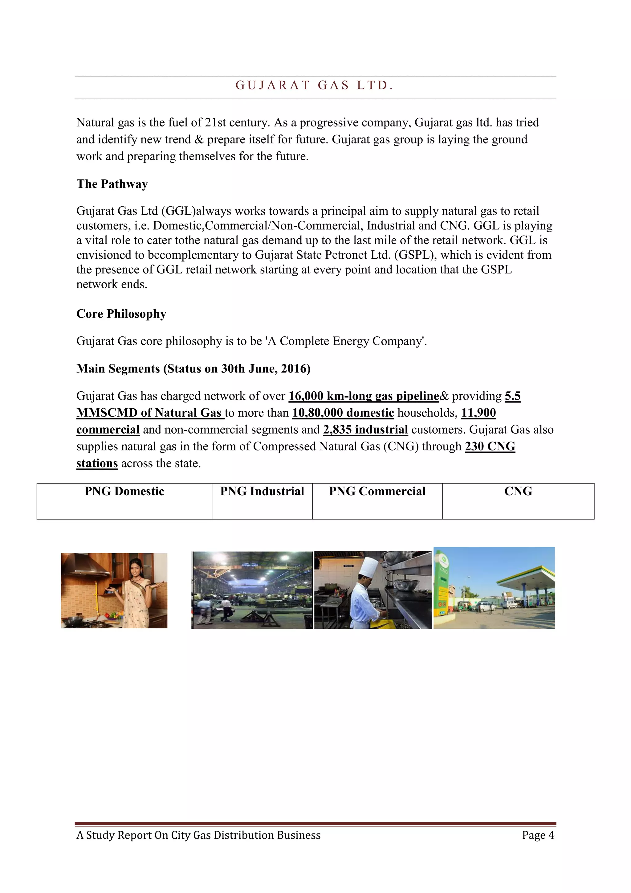 Final Report-City Gas Distribution (CGD) _Daxit Akbari | PDF