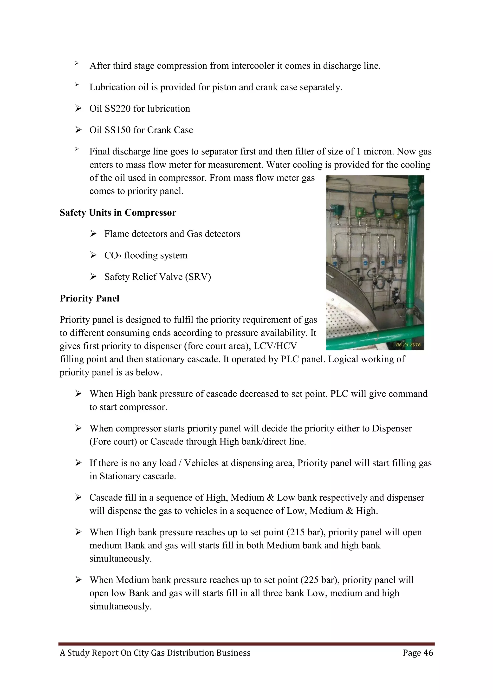 Final Report-City Gas Distribution (CGD) _Daxit Akbari | PDF