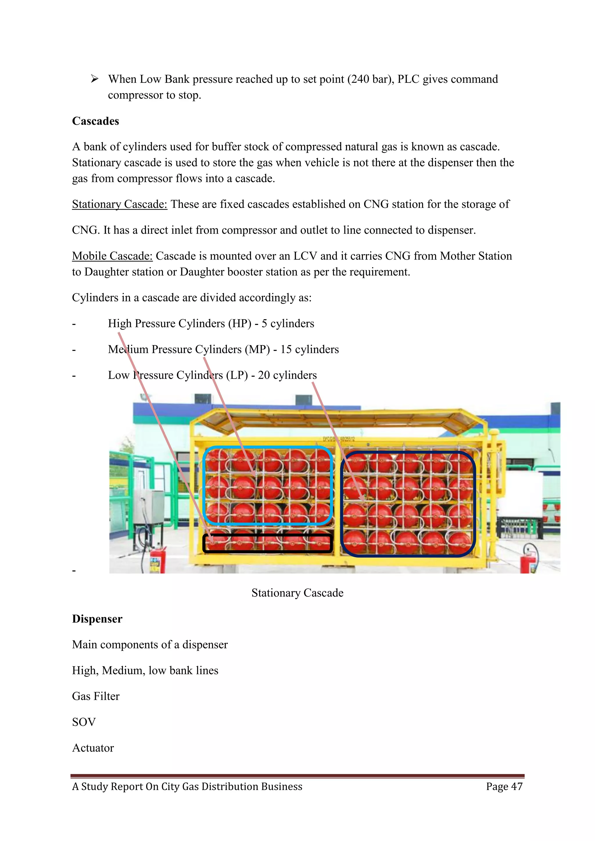 Final Report-City Gas Distribution (CGD) _Daxit Akbari | PDF