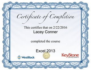 Excel 2013 Certificate | PDF