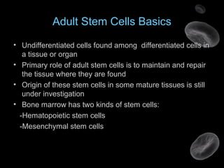 Stem Cell Presentation | PPT