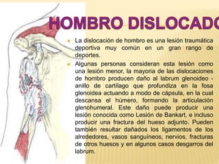Anatomía del Húmero | PPTX