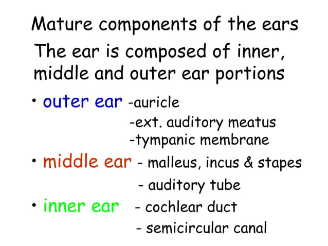 Ear development | PPT
