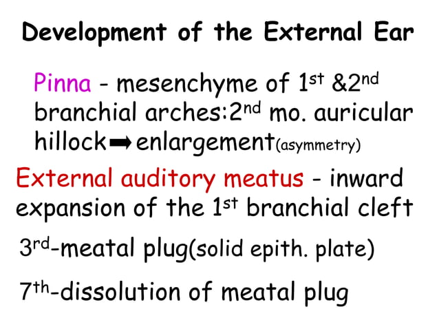 Ear development | PPT