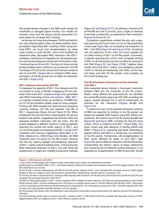 Crystal Structure of the Retinoblastoma Protein | PDF