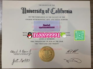 University of California Riverside degree offer diploma Transcript | PPT