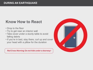 Earthquake Preparedness Infographic | PPTX