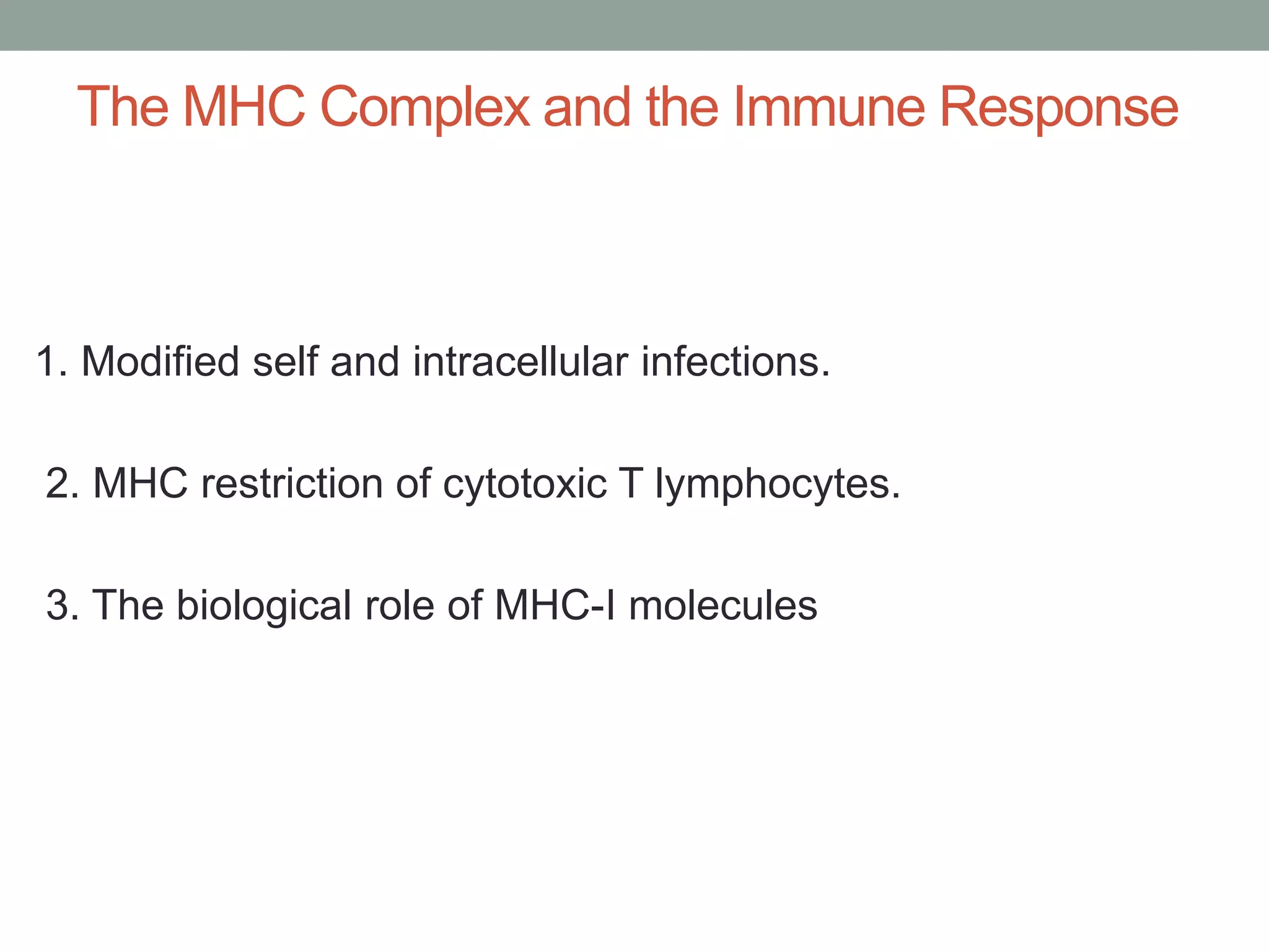 function of mhc | PPT