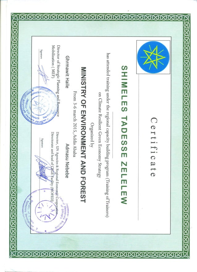 CRGE_TOT Training Certificate | PDF