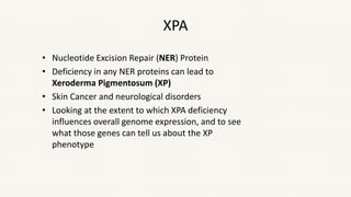 Symposium Presentation-Change in Transcriptome in Human Cells Deficient ...