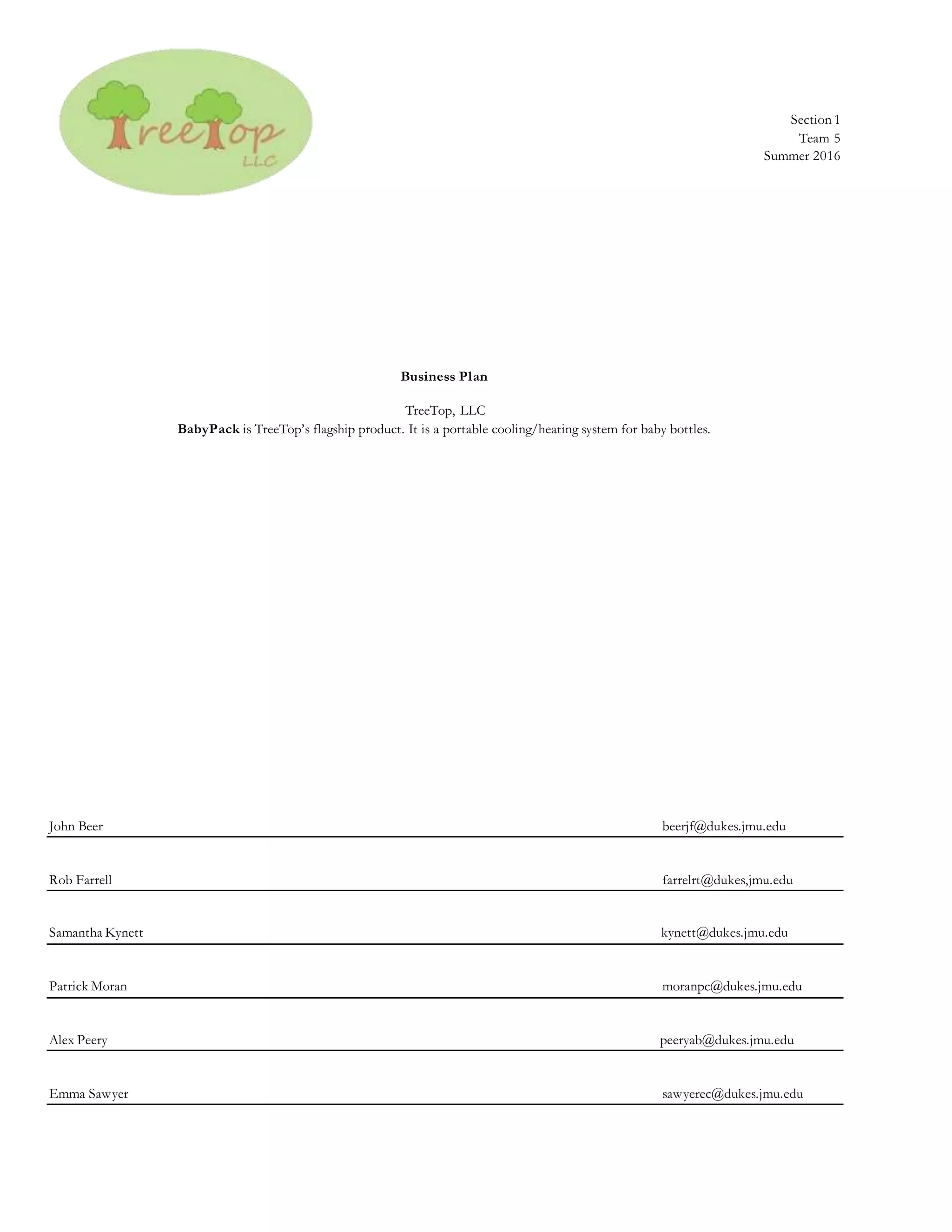 COB 300 Business Plan | DOCX