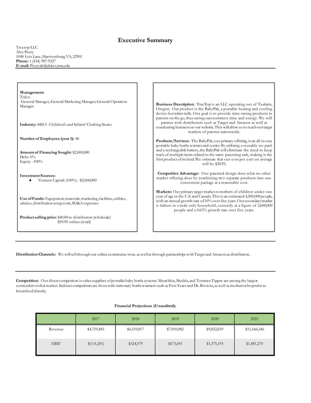COB 300 Business Plan | DOCX