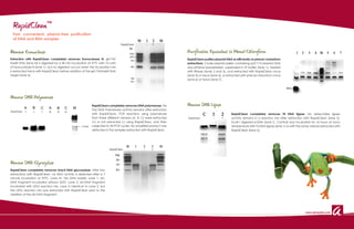 Rapid_Clean_Brochure | PDF